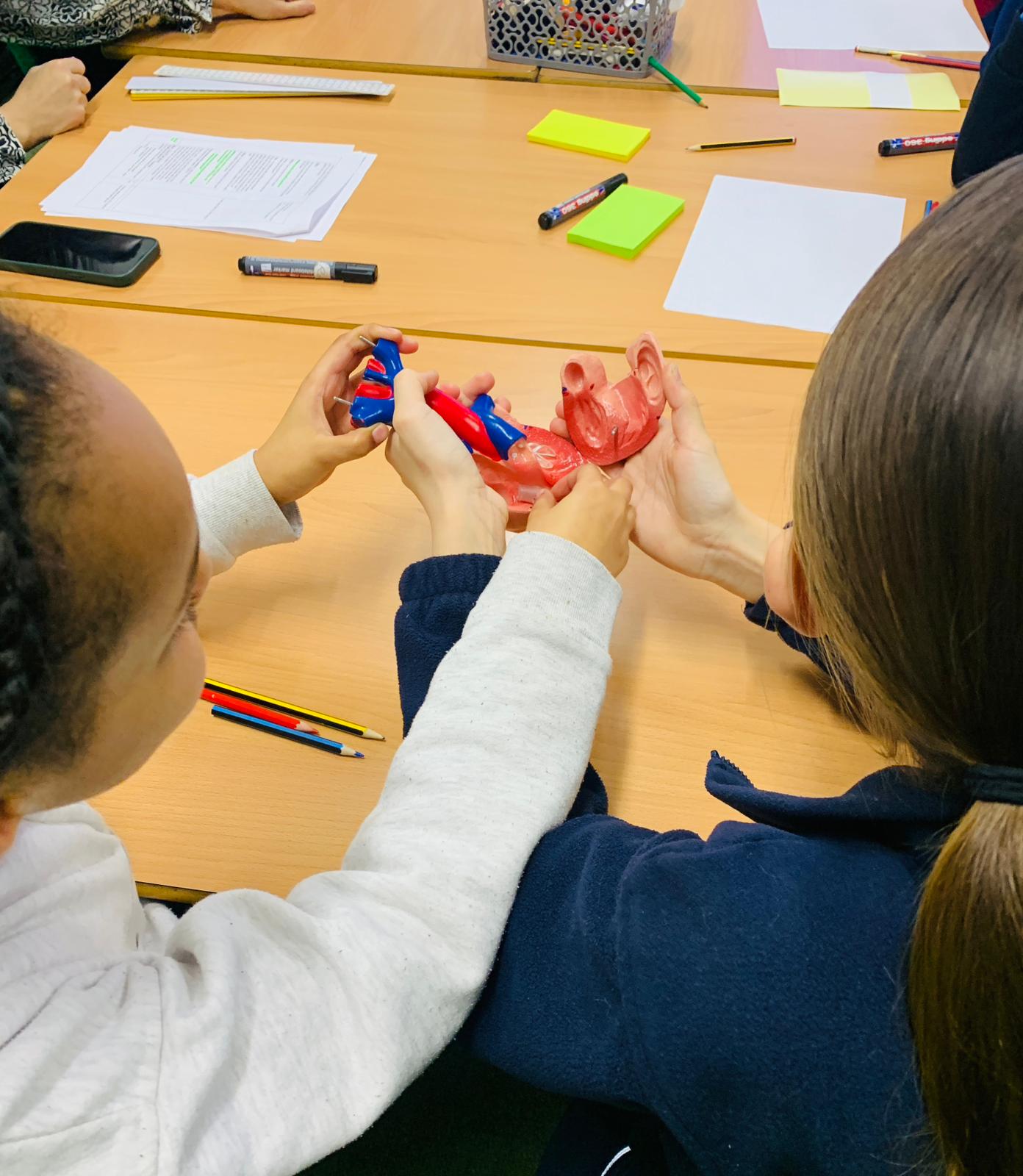 Widening access: inspiring the next generation of doctors - GP Teaching
