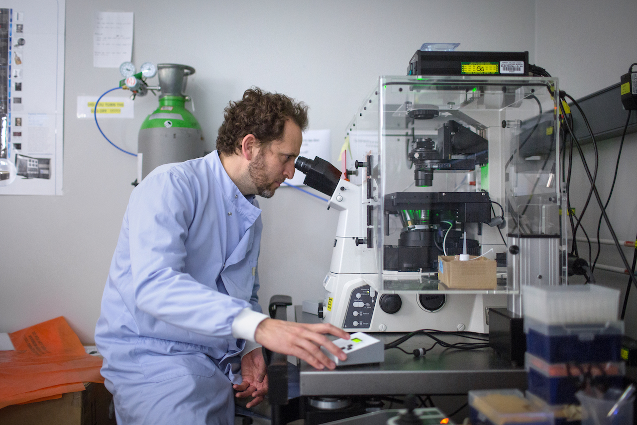 Getting back on track: 5 Imperial academics working to end malaria ...
