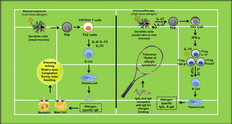 Game, set and hay fever