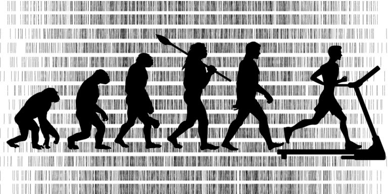 Exploring the evolutionary treadmill of genome defence