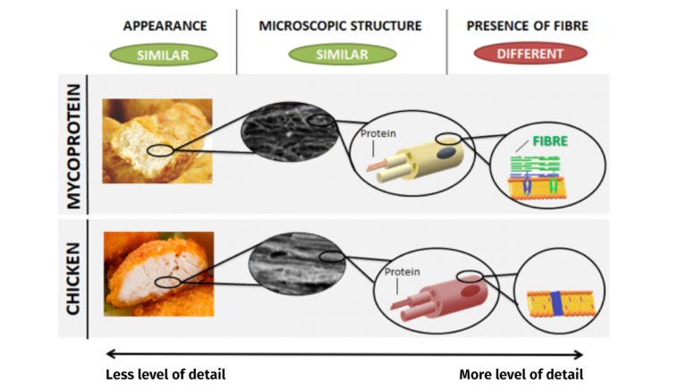Is mycoprotein an ideal food for managing blood sugar levels in Diabetes?