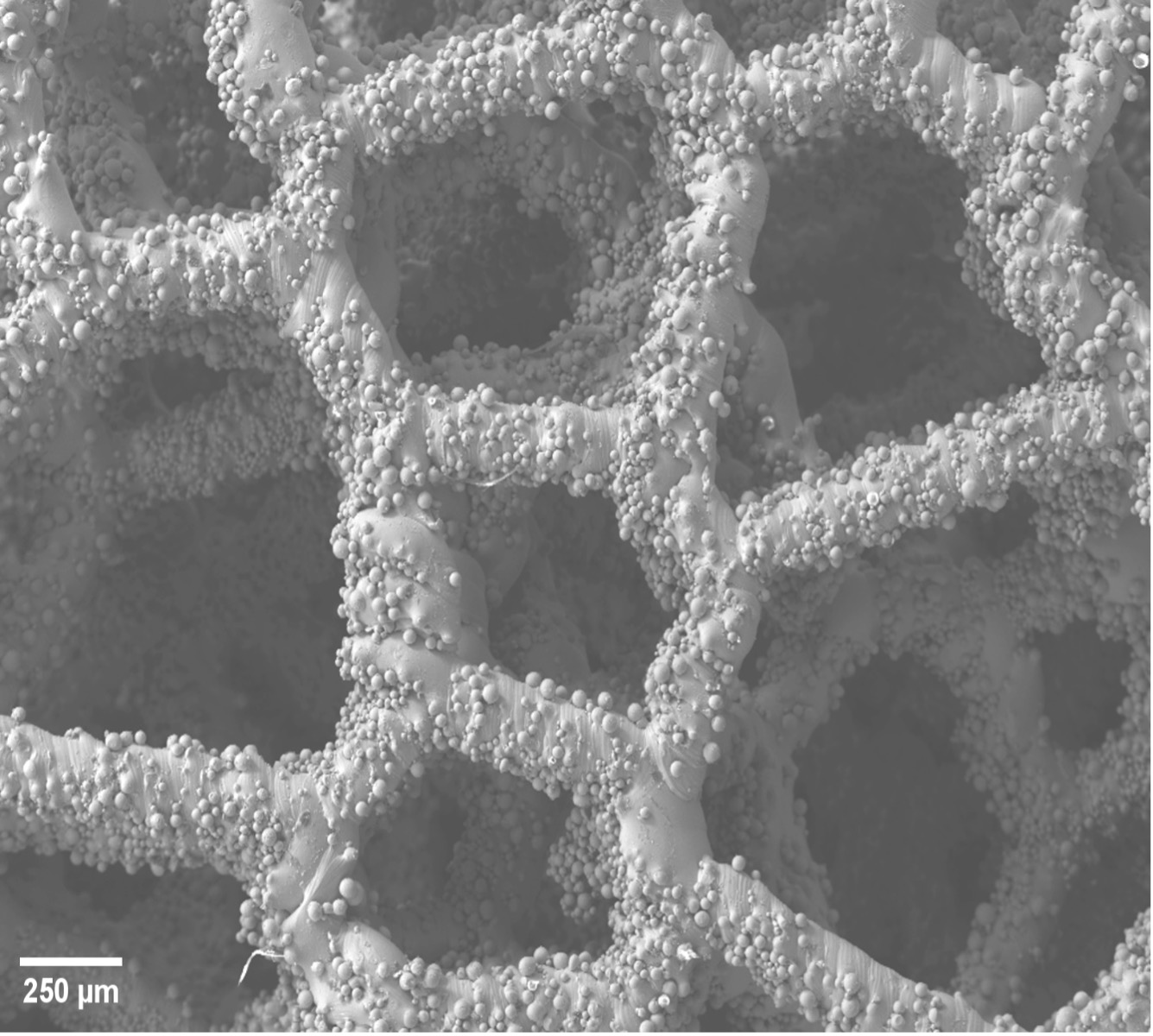 PhD Spotlight: Titanium Alloys for Tomorrow's Orthopaedic Implants ...