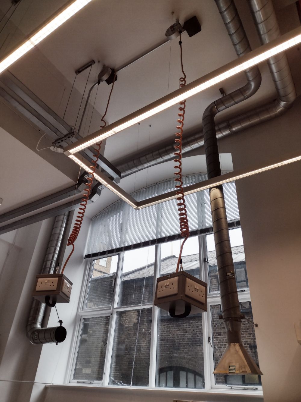 Setting up conservation science collaborations - Institute for ...