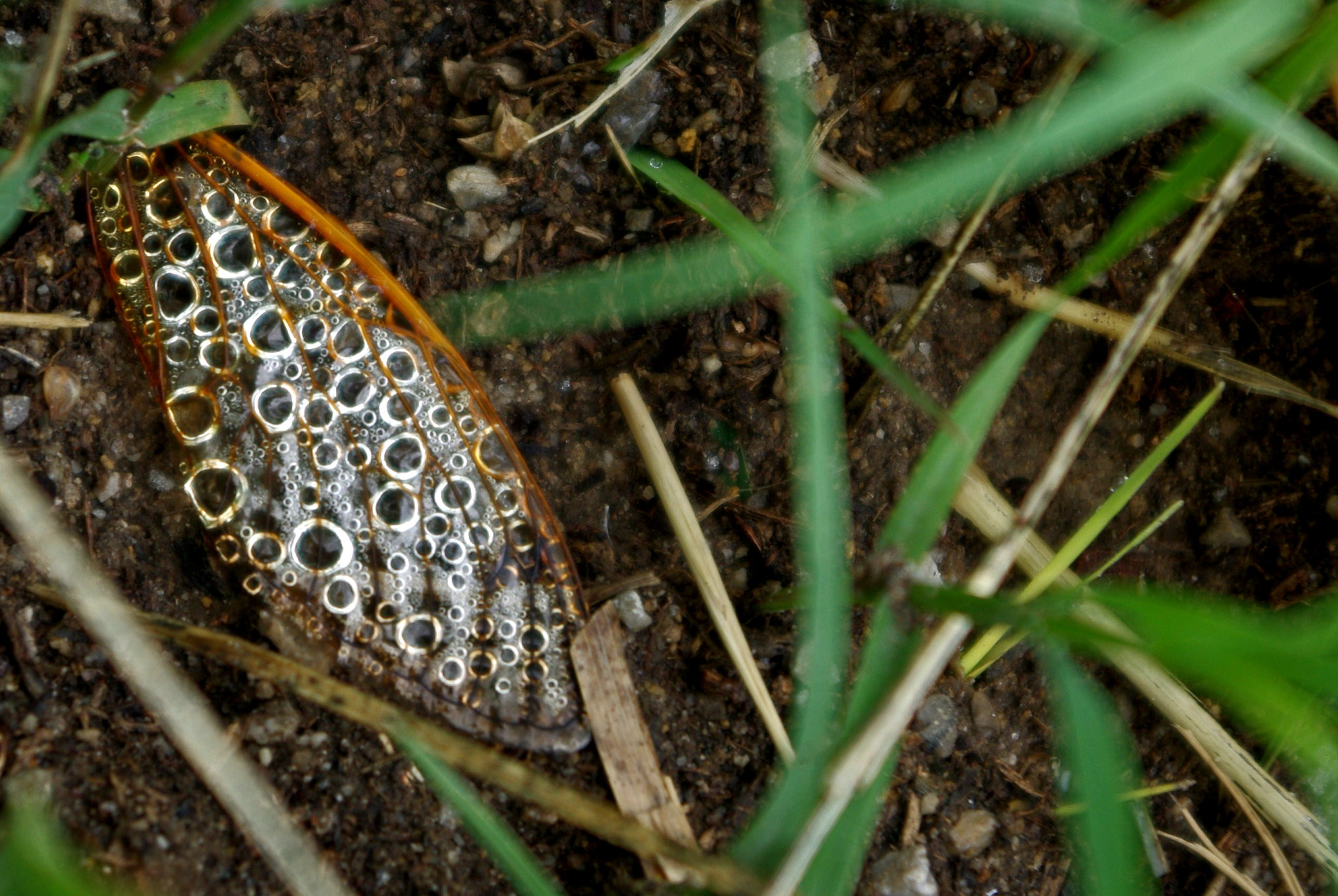 smart surfaces tackling antimicrobial resistance