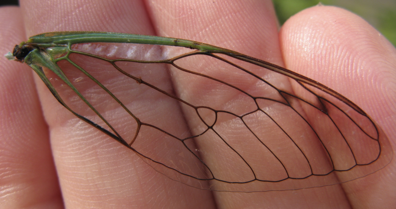 smart surfaces tackling antimicrobial resistance