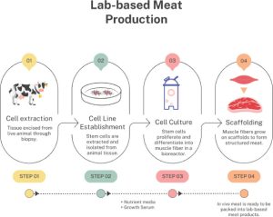 the potential of cultivated meat