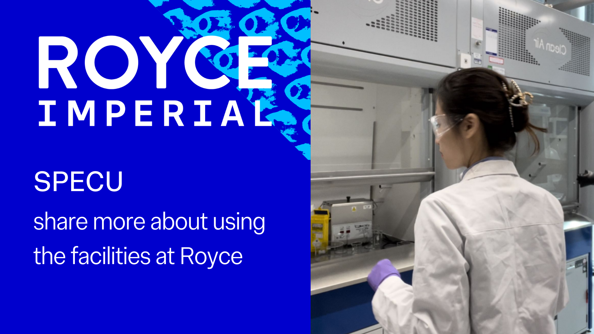 Company spotlight: SPECU - Royce at Imperial