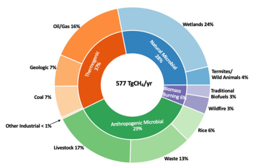 Methane - an origin story - Sustainable Gas Institute Blog